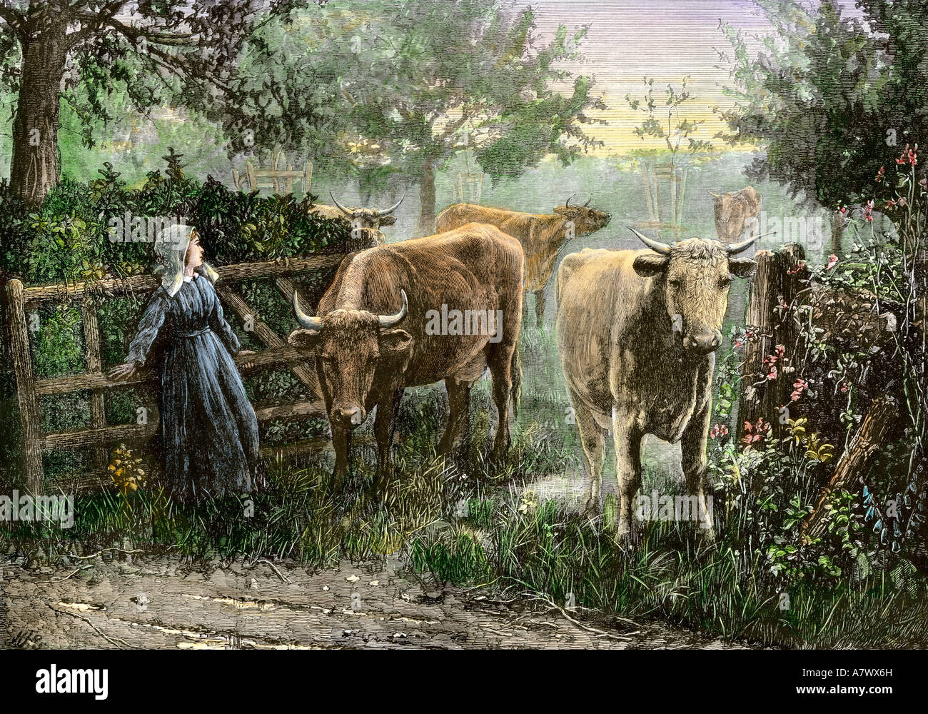 Vintage girl and cow hi-res stock photography and images - Alamy
