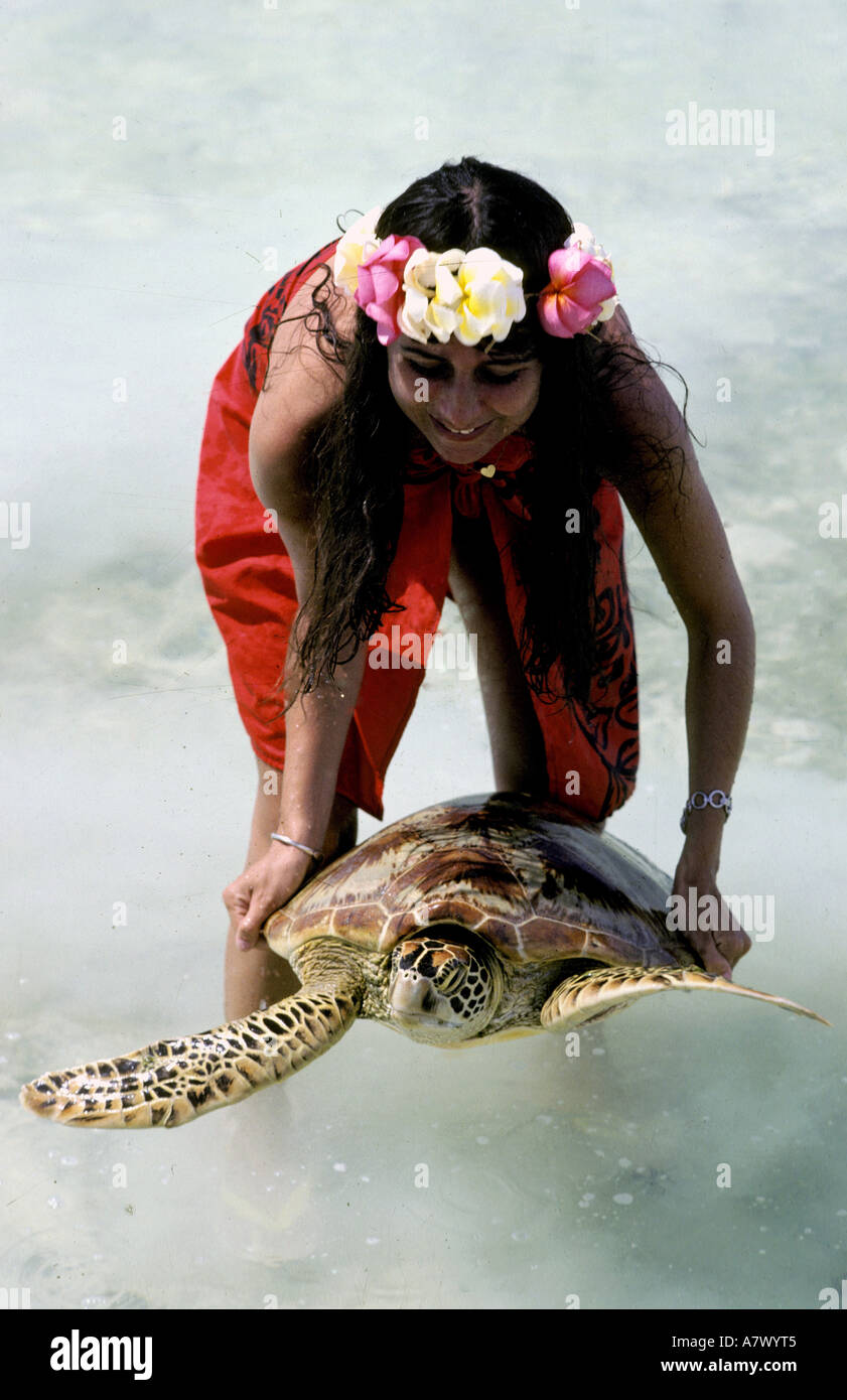 French tortoise hi-res stock photography and images - Alamy