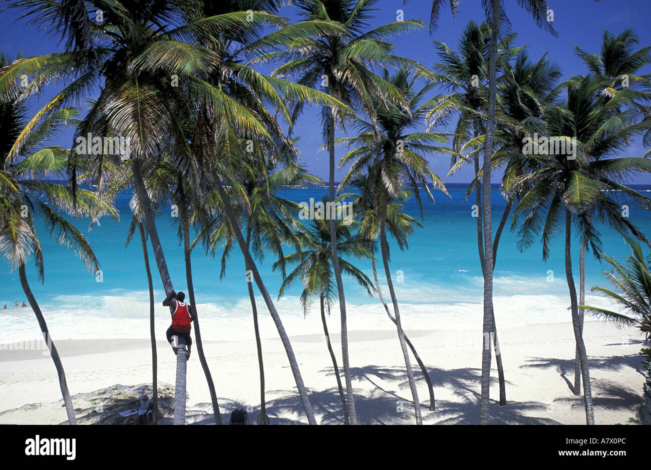 Barbados island, Bottom Beach bay Stock Photo - Alamy
