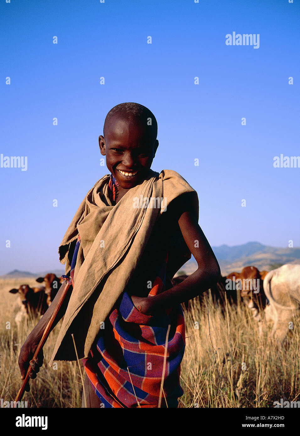 Tanzania african shepherd hi-res stock photography and images - Alamy