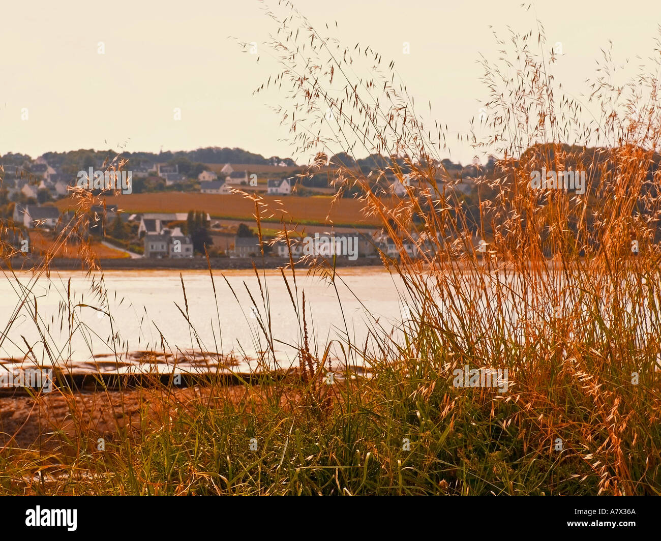 france brittany finistere oyster port of dourduff sur mer mouth estuary ...