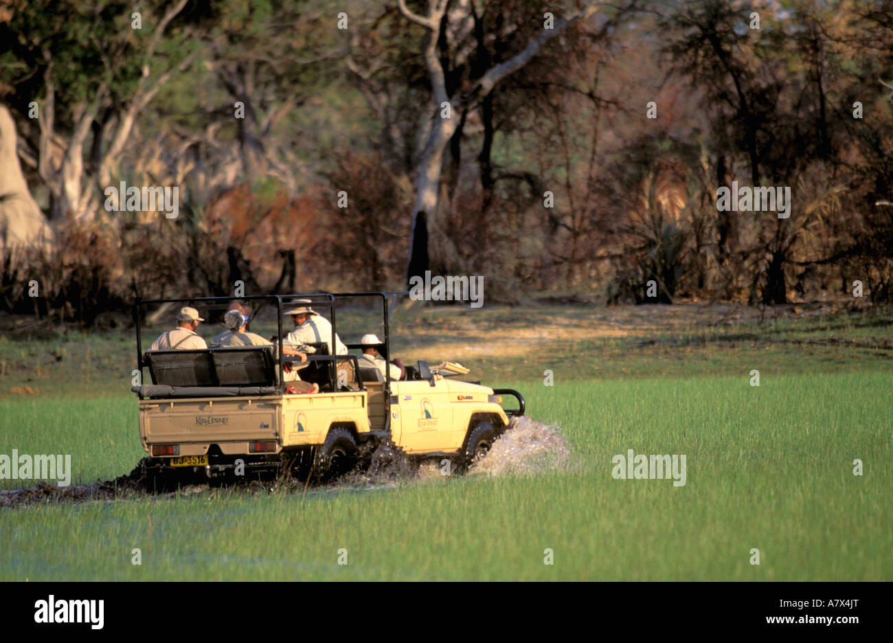 Africa, Botswana, Okavango Delta. Vehicle in swamps Stock Photo - Alamy