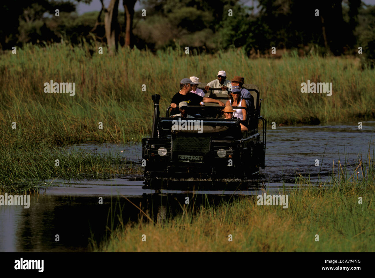 Africa, Botswana, Okavango Delta. Tourists on game drive Stock Photo ...