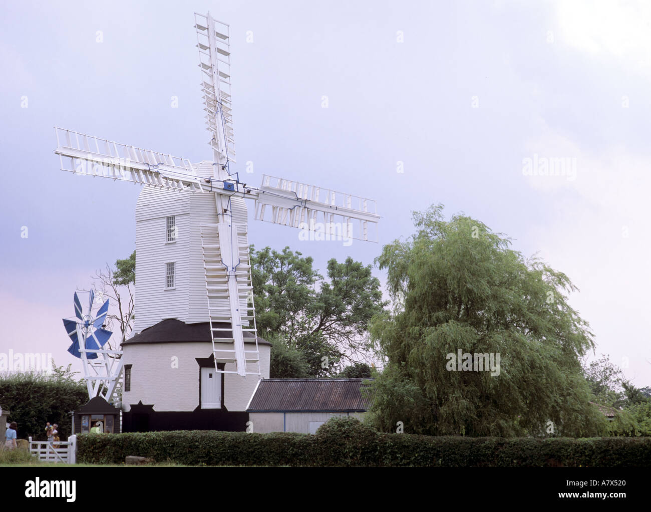 Saxtead green windmill hi-res stock photography and images - Alamy