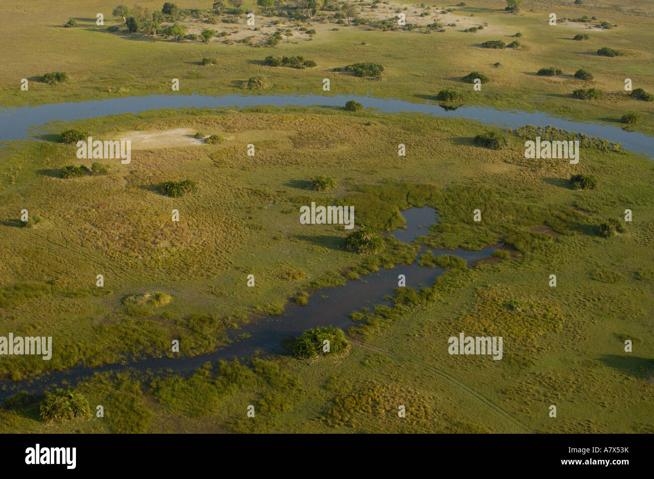 Seasonal flood moving through the floodplain. Okavango Delta, BOTSWANA ...