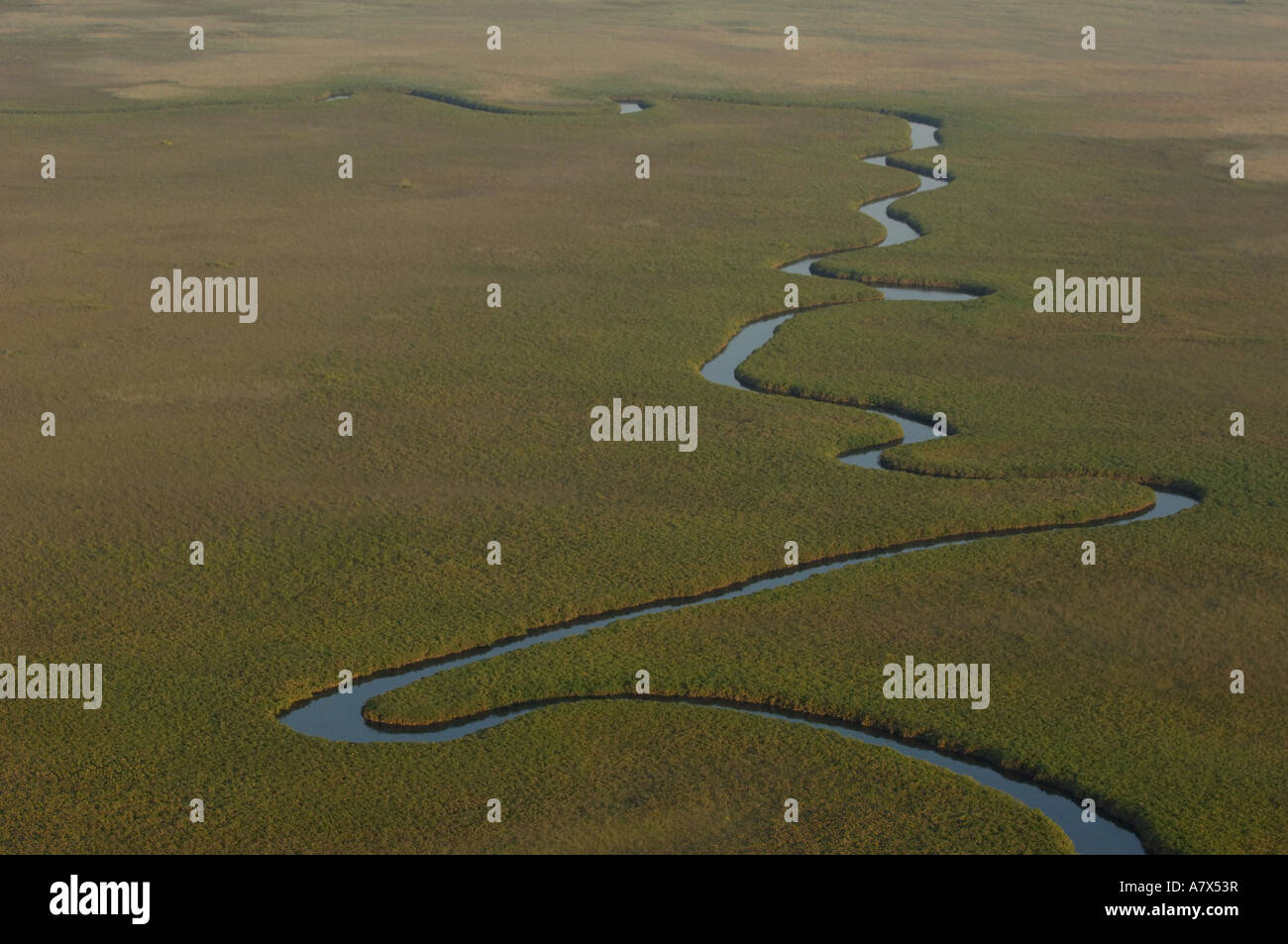 Papyrus swamps & channel. Okavango Delta, BOTSWANA. Southern Africa ...