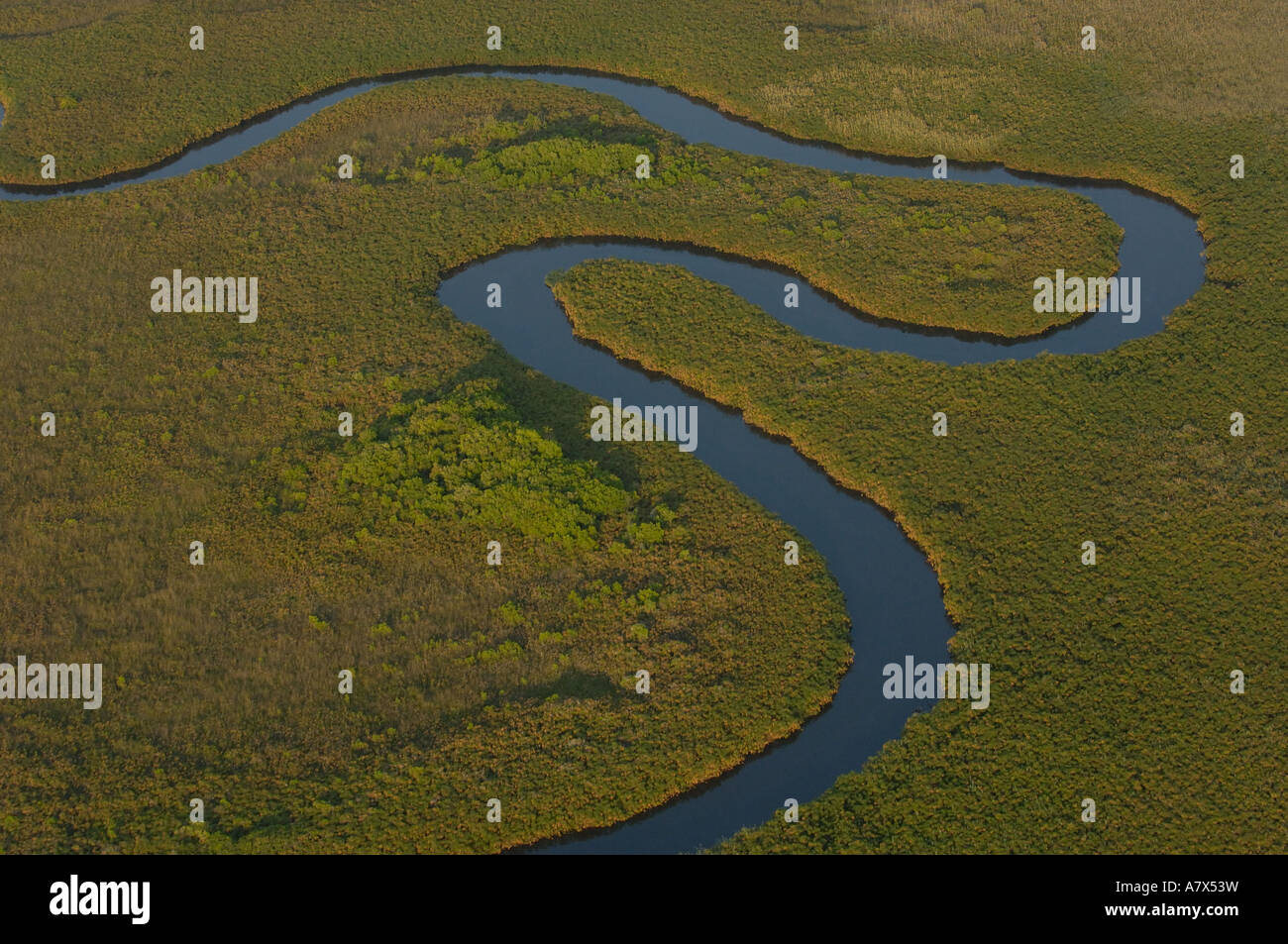 Papyrus swamps & channel. Okavango Delta, BOTSWANA. Southern Africa ...