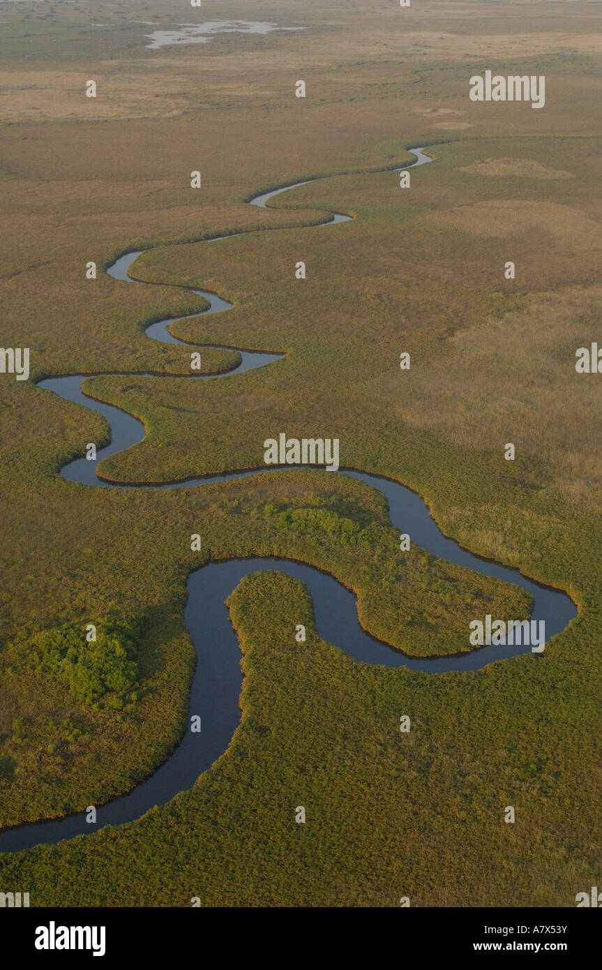 Papyrus swamps & channel. Okavango Delta, BOTSWANA. Southern Africa ...