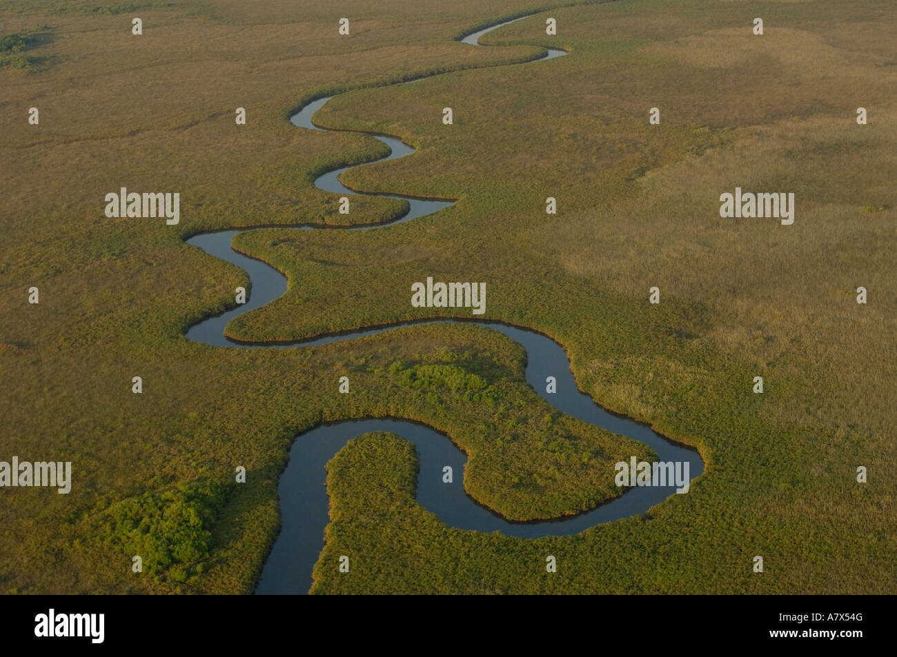Papyrus swamps & channel. Okavango Delta, BOTSWANA. Southern Africa ...
