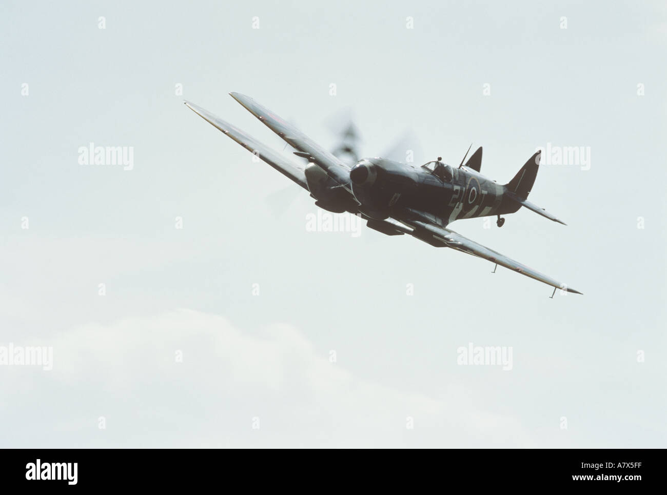 Two Vickers Supermarine Spitfire fighter planes flying in close ...