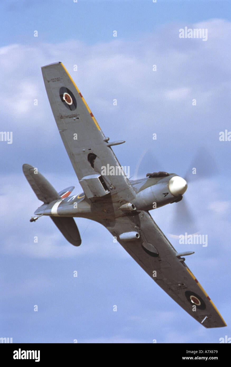 A Vickers Supermarine Spitfire with clipped wings banks to display its ...