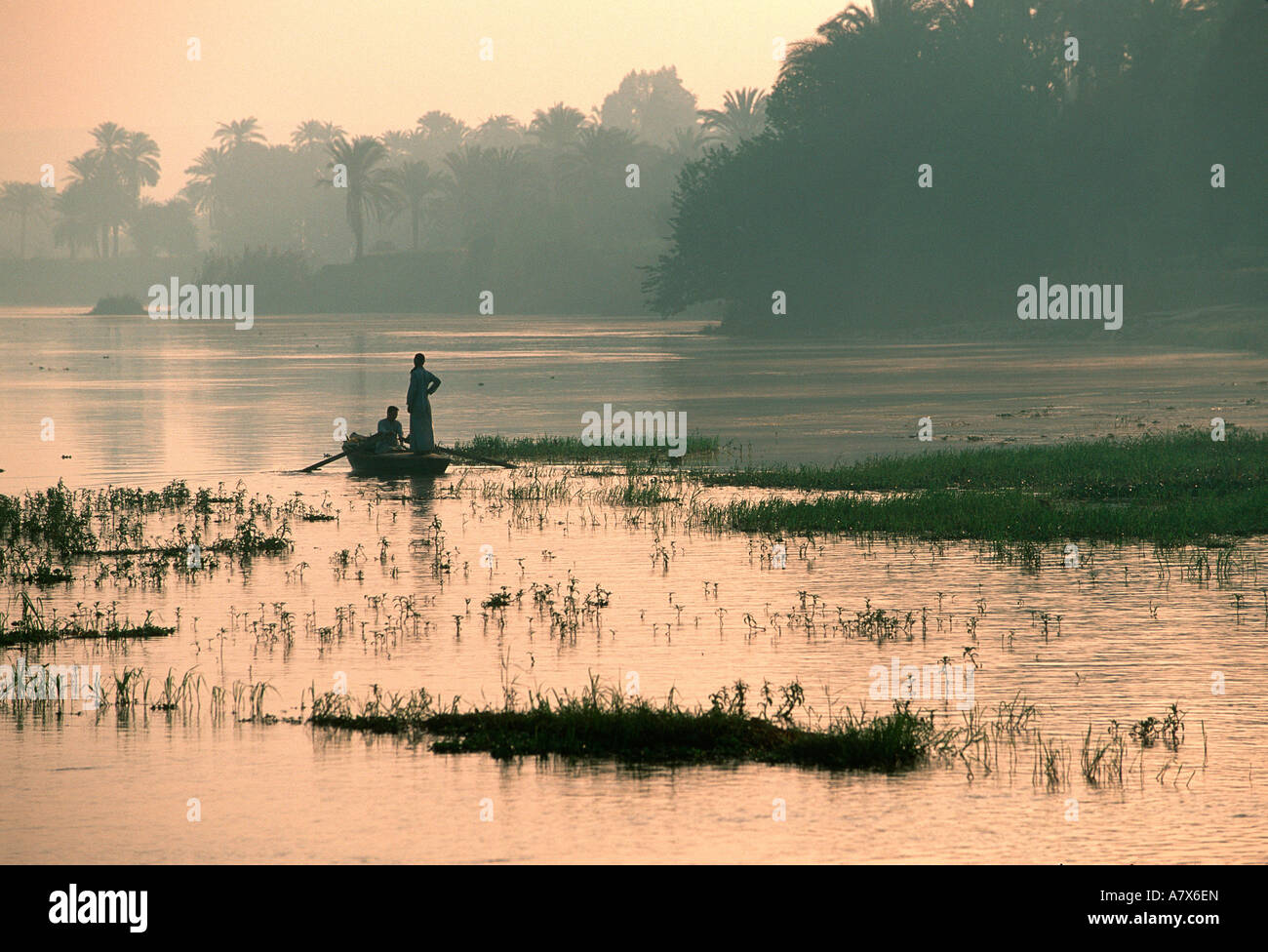 Egypt, Amarna, Nile, Nile Perch Stock Photo - Alamy