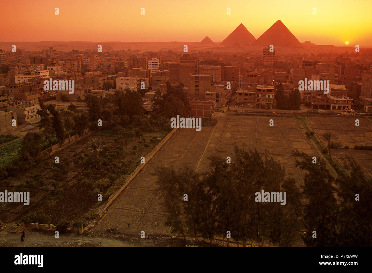 Egypt, Old Kingdom, Giza Plateau, Modern high rise buildings and ...