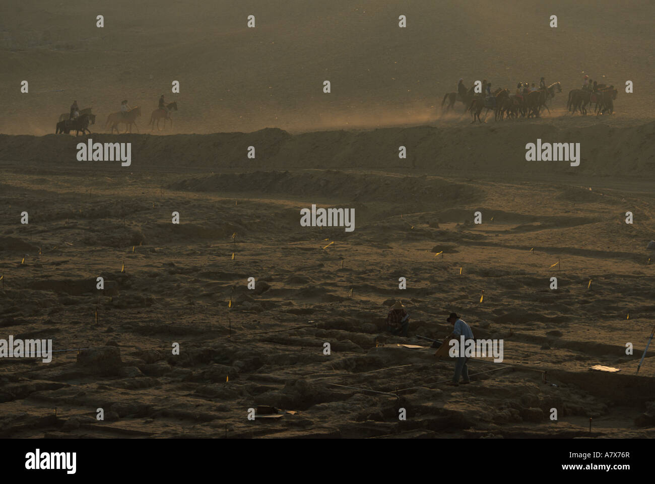 Africa, Egypt, Giza plateau. Dr. Mark Lehner in royal production center ...