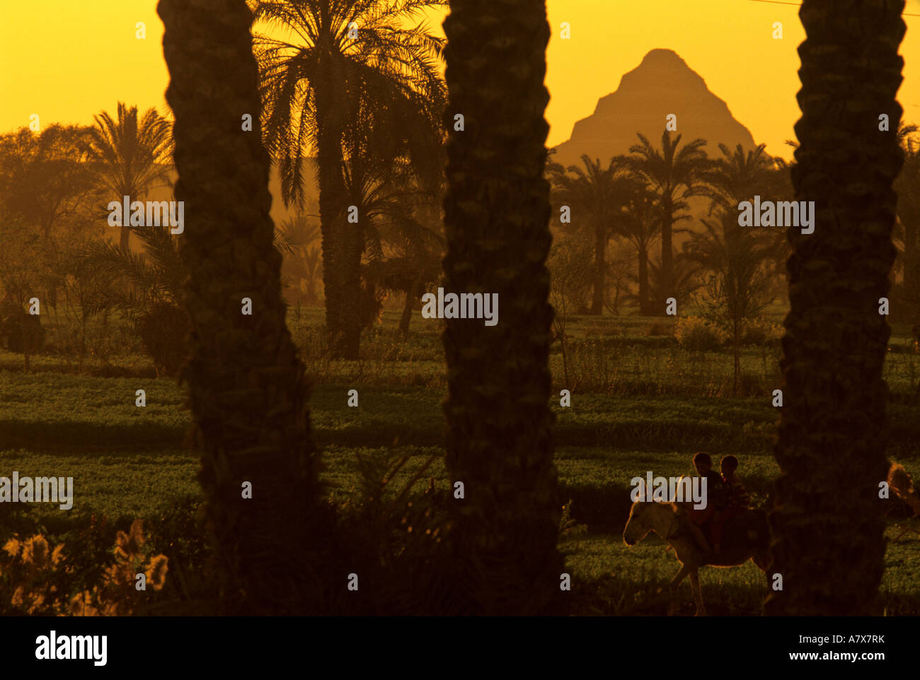 Mudbrick Pyramid High Resolution Stock Photography and Images - Alamy