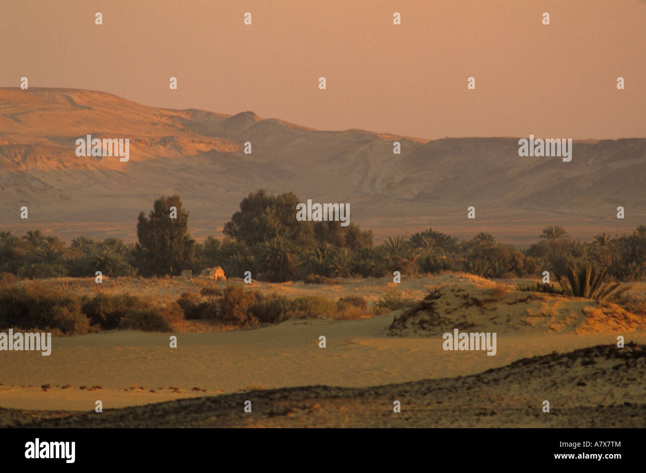 Egypt, Scenic of the Bahariya Oasis, Valley of the Golden Mummies Stock ...