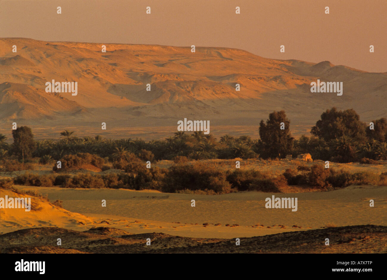 Egypt, Scenic of the Bahariya Oasis, Valley of the Golden Mummies Stock ...