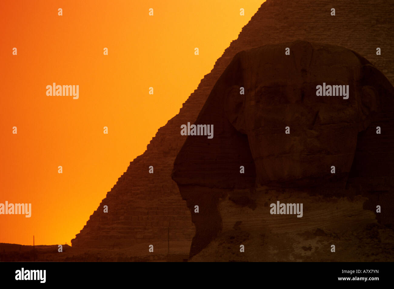 Egypt, Old Kingdom, Sphinx, Sunset on the Giza plateau and pyramids ...