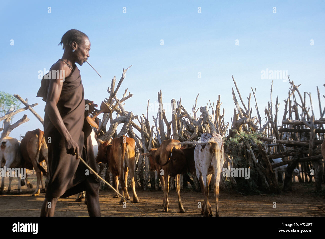 Traditional stool africa hi-res stock photography and images - Alamy