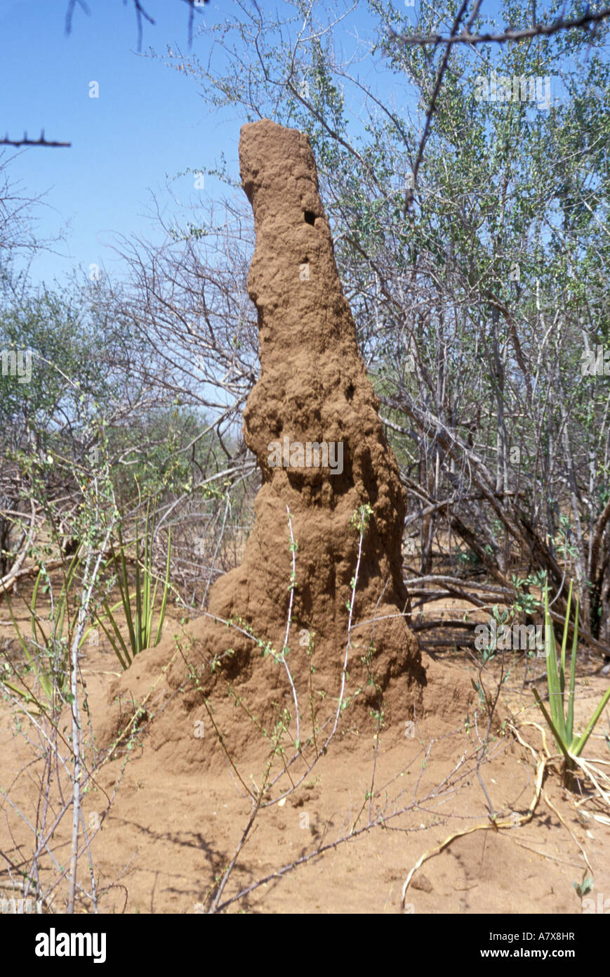 A giant termite hill near the Hamar village in Ethiopia's Omo River ...