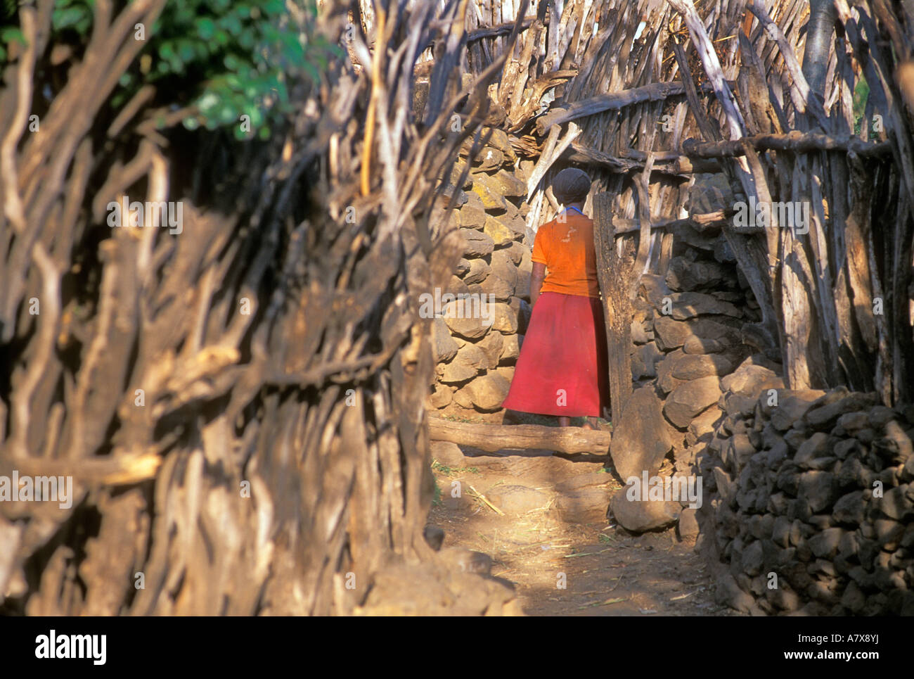 A Konso woman walking through a small path lined with sticks and a rock ...