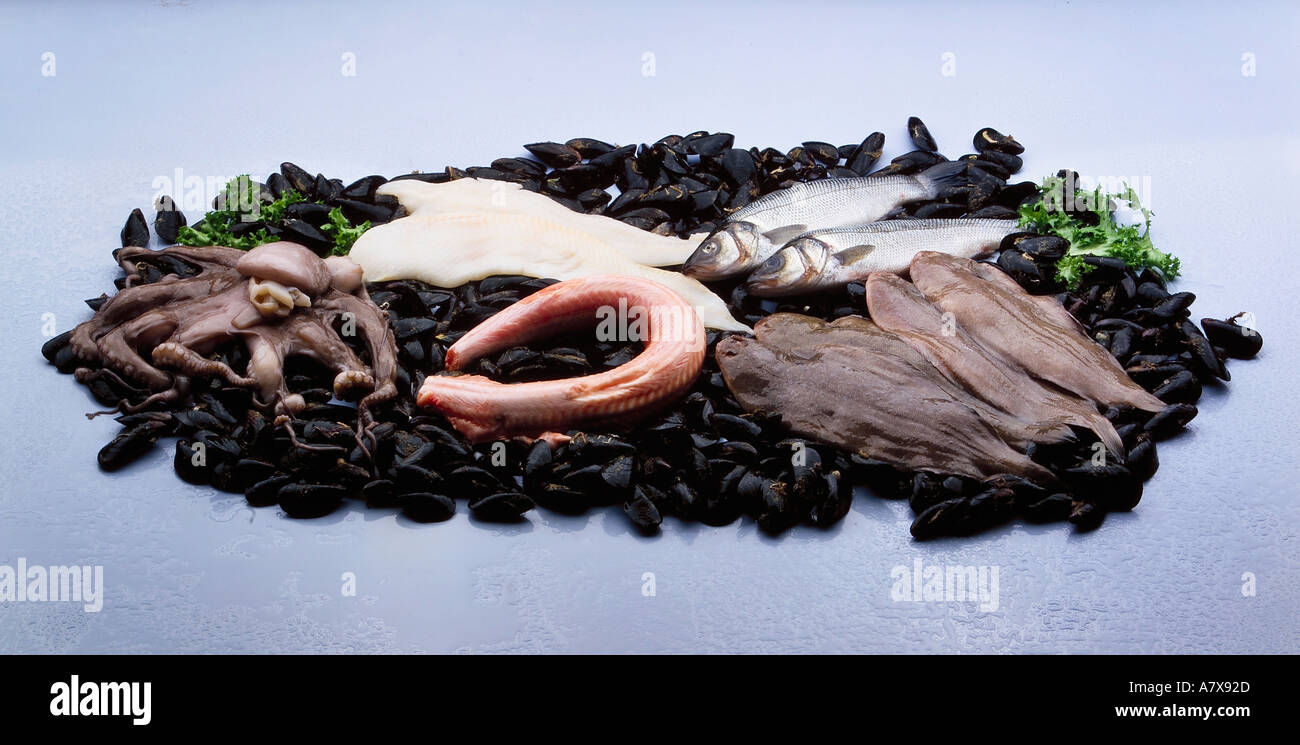 fish eat food fresh sea Stock Photo - Alamy