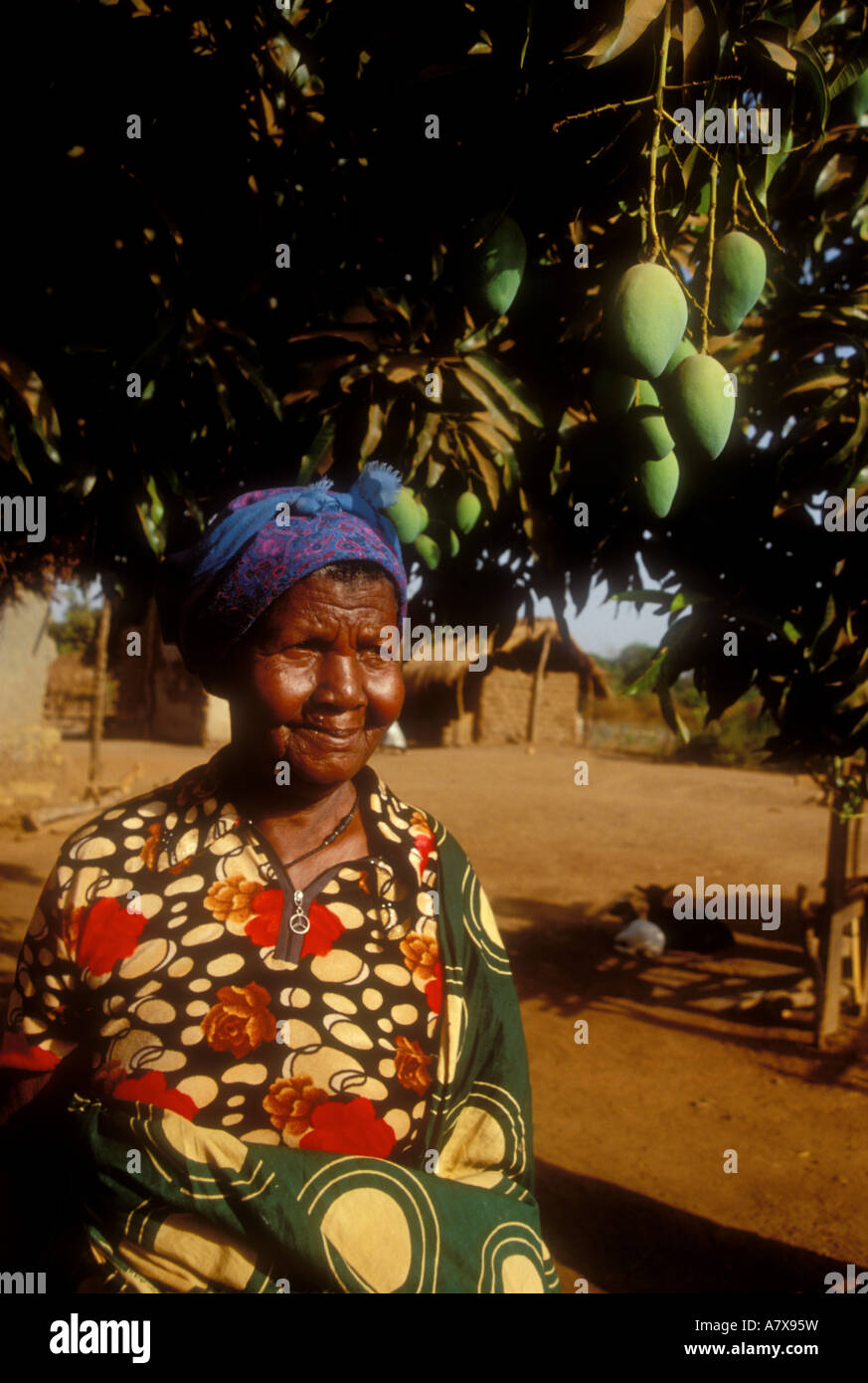 Ghana: Kabile (Brong-Ahafo Region), Ghanaian woman under mango tree in ...