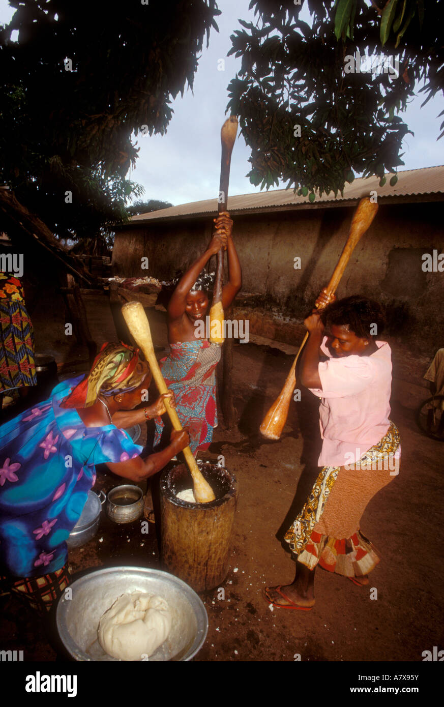 Ghana: Kabile (Brong-Ahafo Region), Ghanaian woman pounding 'fufu' with ...