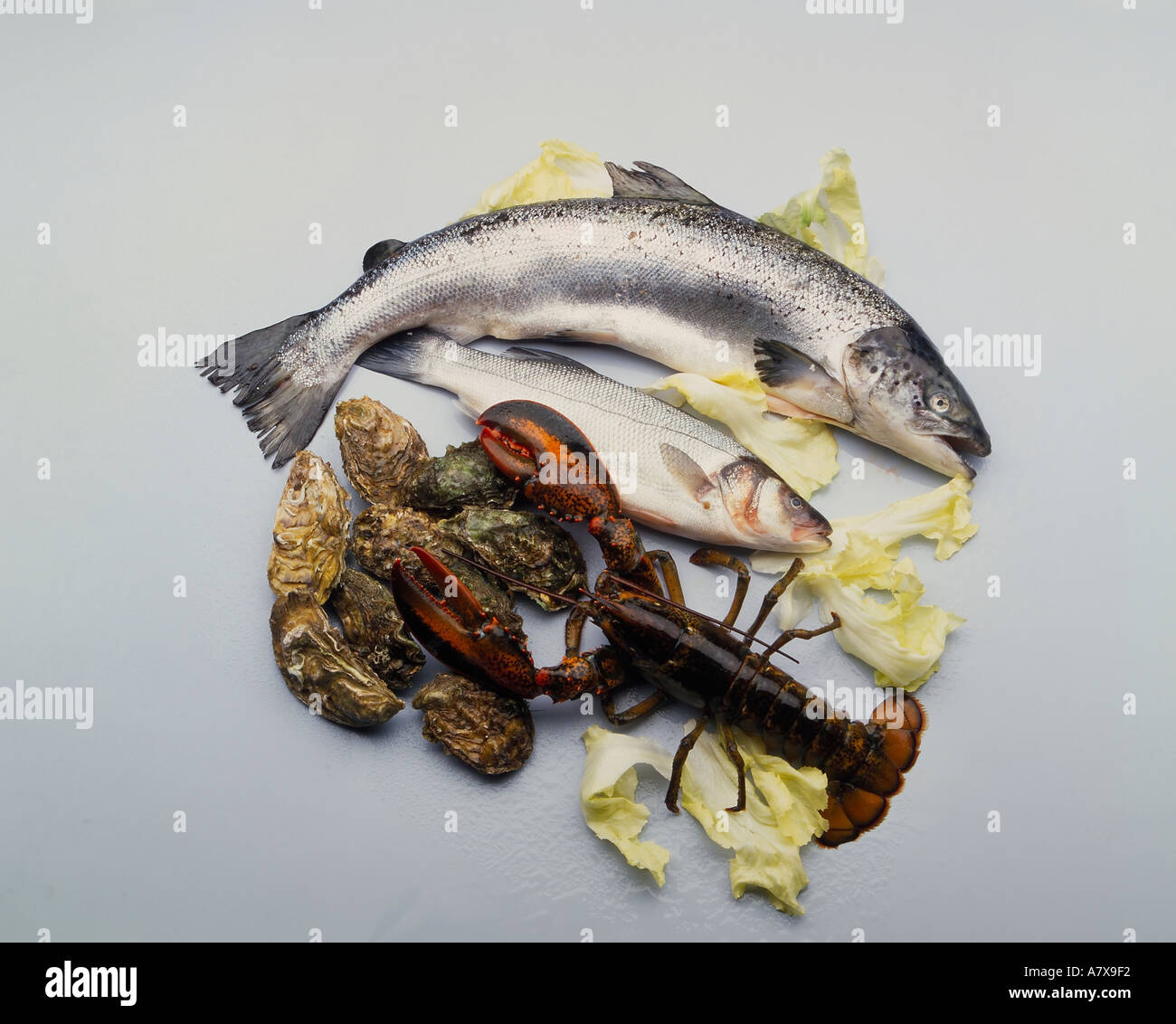 fish eat food sea river fisher Stock Photo - Alamy