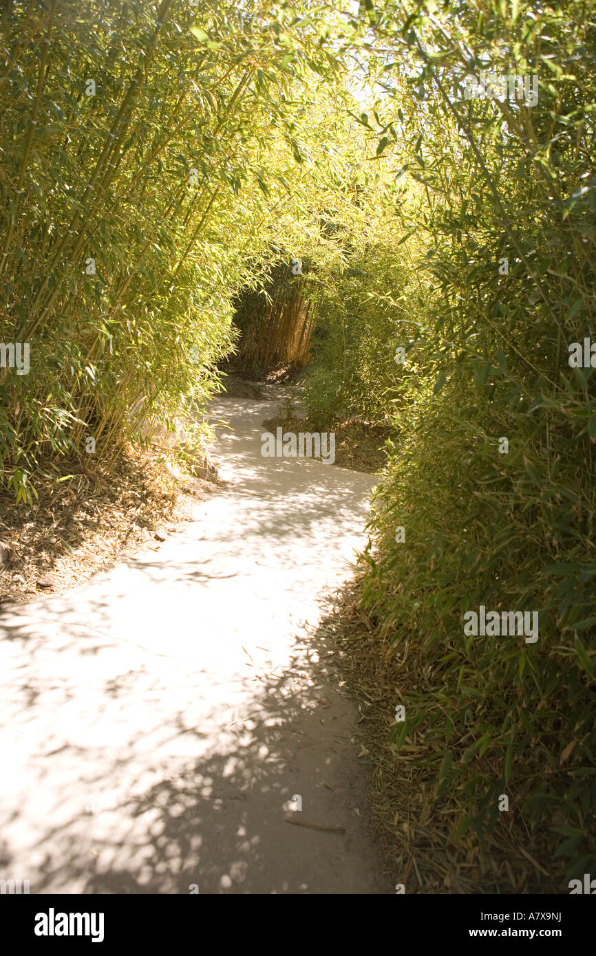entry way into bamboo forest Stock Photo - Alamy