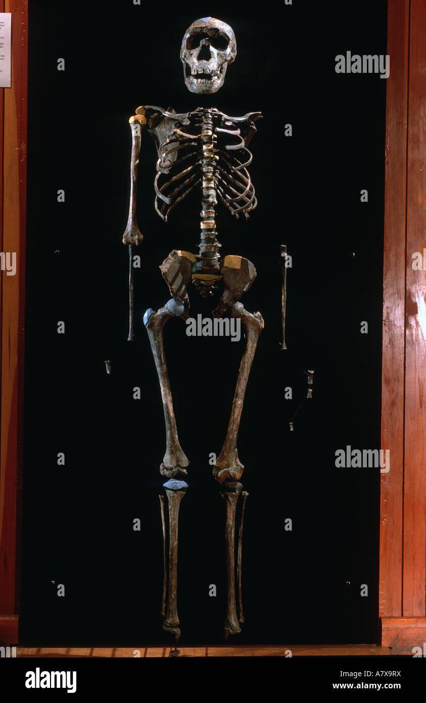 Turkana boy hi-res stock photography and images - Alamy