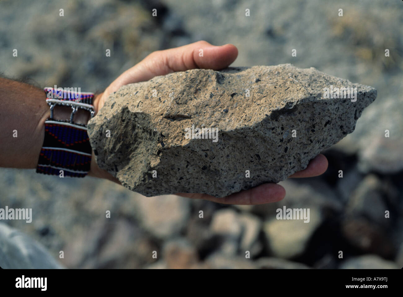 Kenya, Olorgasailie, Hand Axe, Homo Erectus, Dr. Rick Potts Stock Photo ...