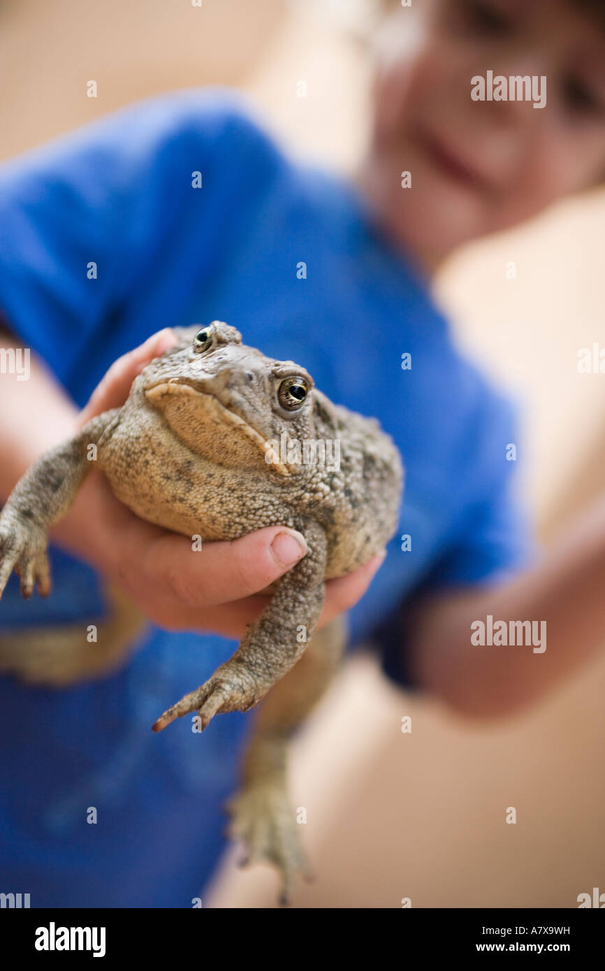 young child holding toad Stock Photo - Alamy