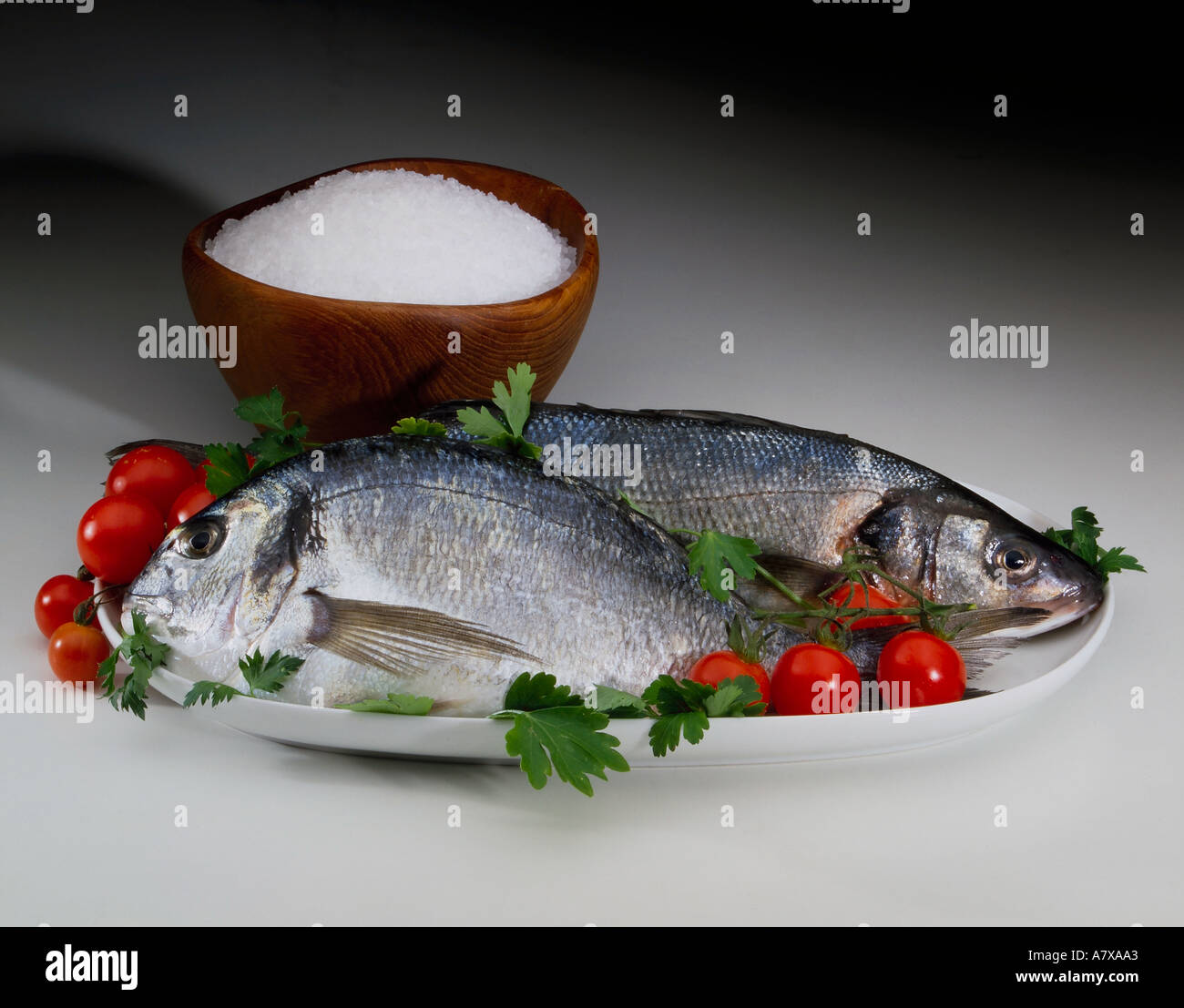 fish eat food Stock Photo - Alamy