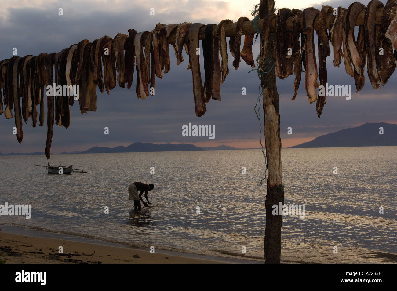 Sun-drying fish. This is the traditional way to dry fish and better for ...