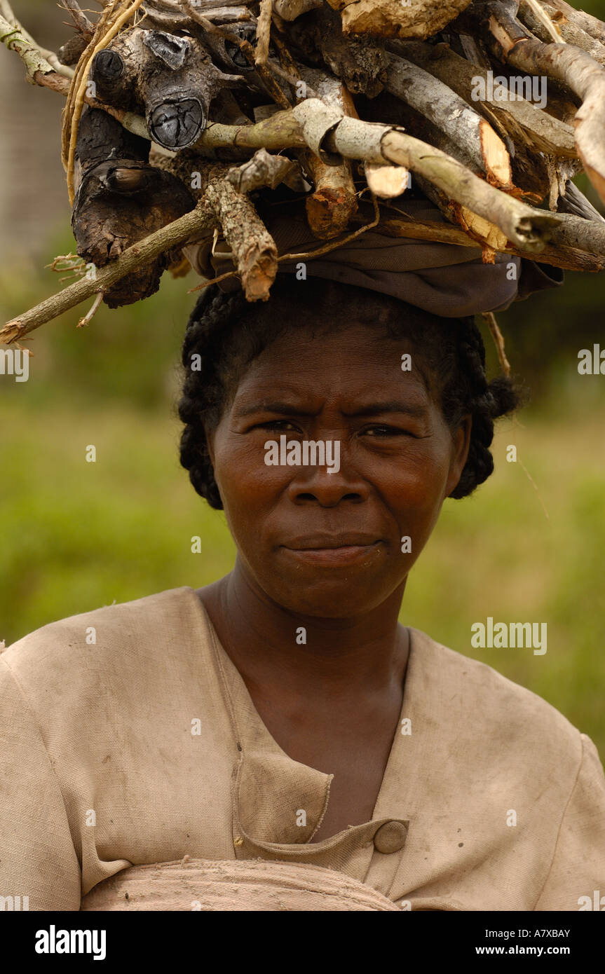 Antandroy woman collecting firewood. The braided and knotted hairstyle ...