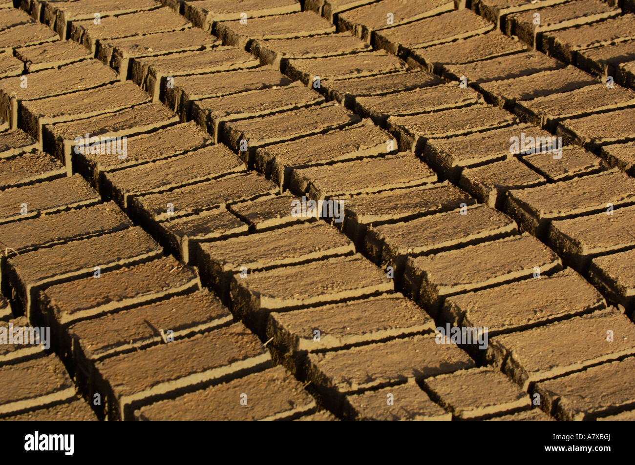 Mud bricks and mould hi-res stock photography and images - Alamy