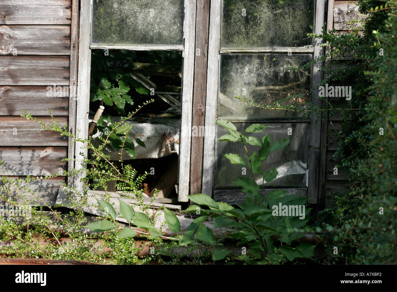 Old shed window Stock Photo - Alamy