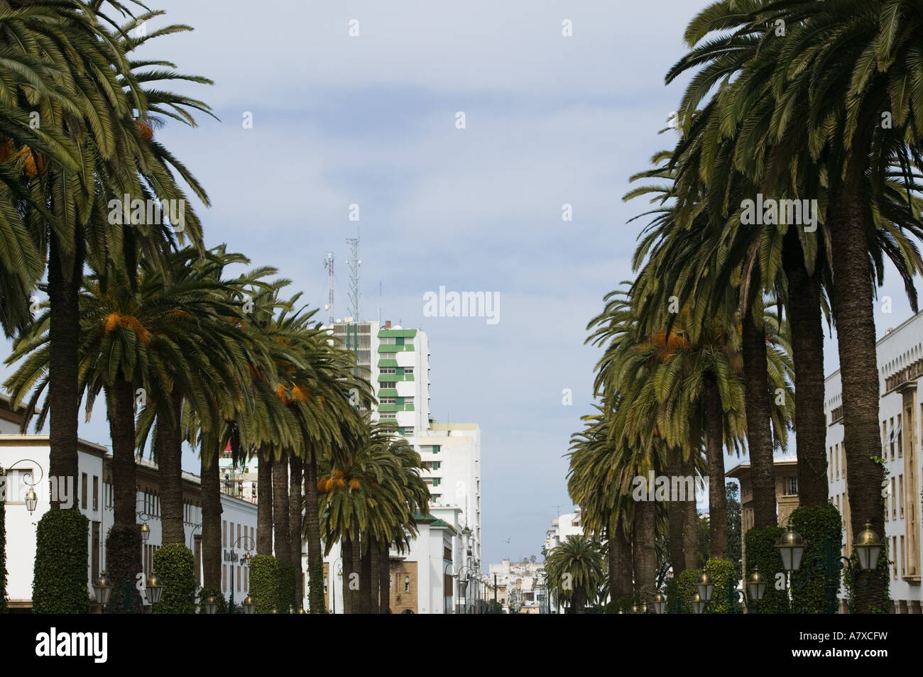 Ville nouvelle rabat morocco hi-res stock photography and images - Alamy