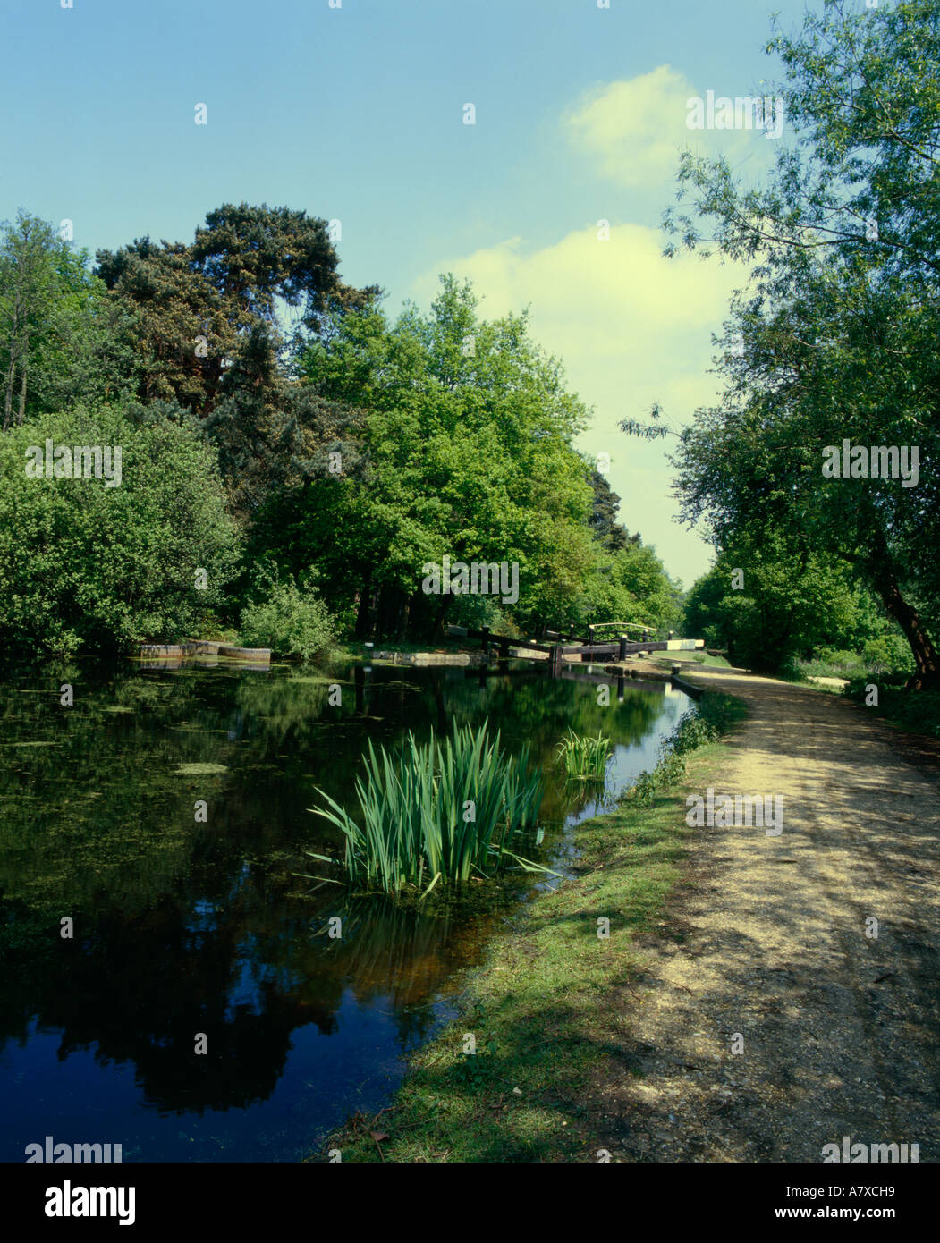 Deepcut surrey hi-res stock photography and images - Alamy