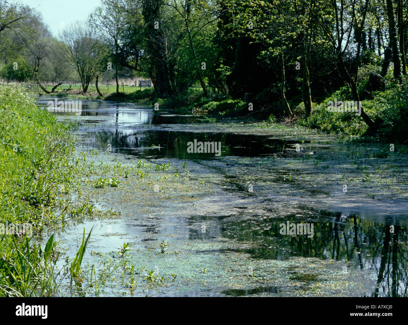 Greywell tunnel hi-res stock photography and images - Alamy