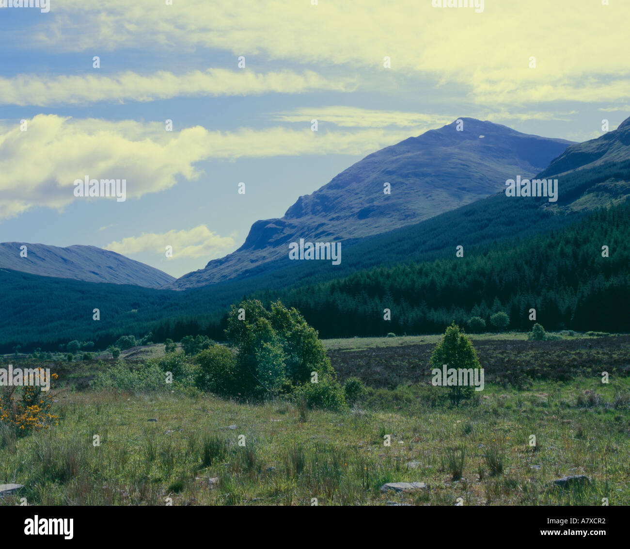 Ben lui hi-res stock photography and images - Alamy