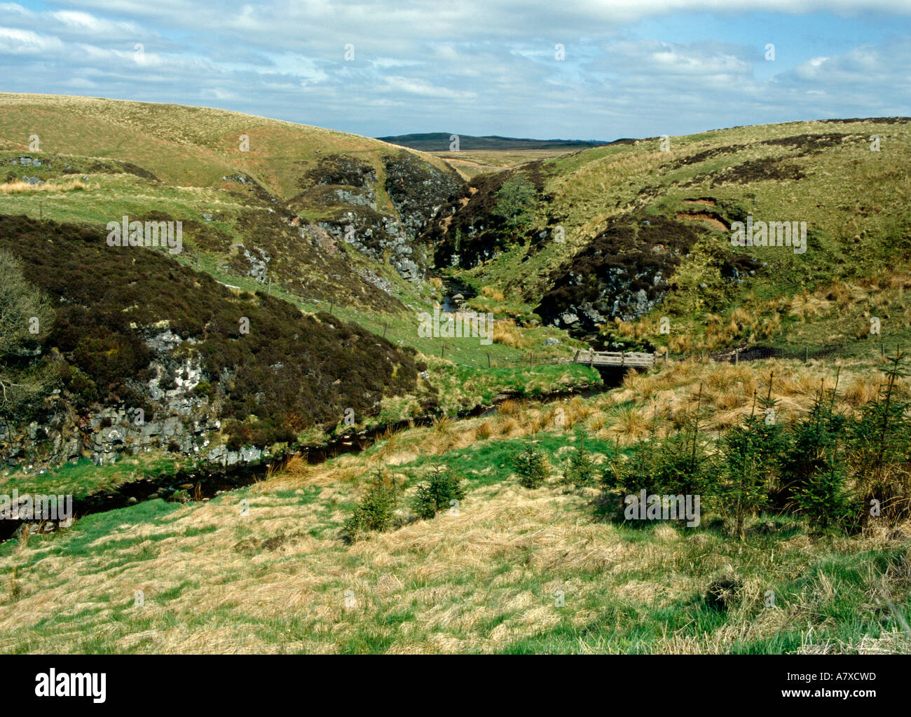 Darvel hi-res stock photography and images - Alamy