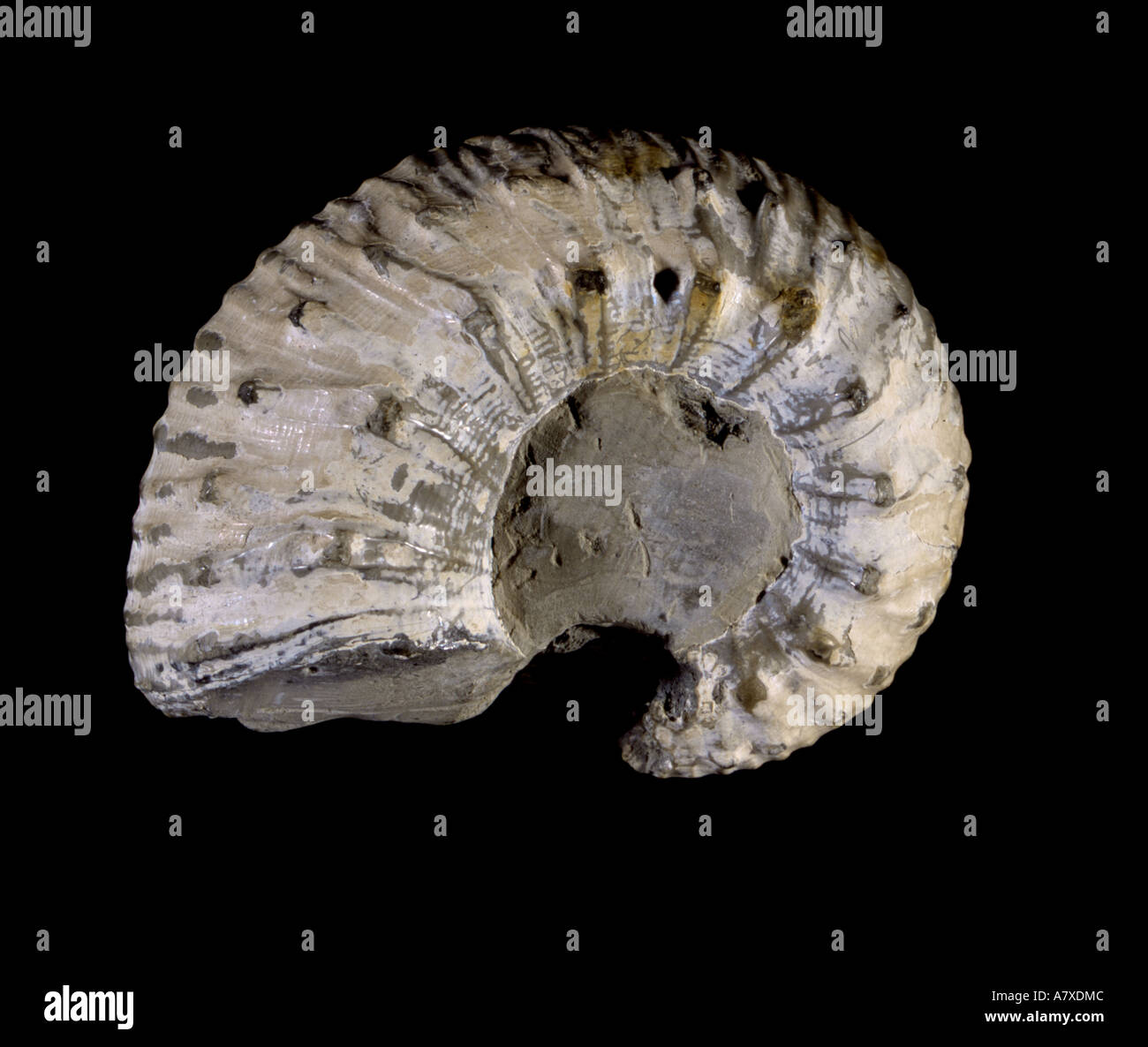 Lower lias hi-res stock photography and images - Alamy