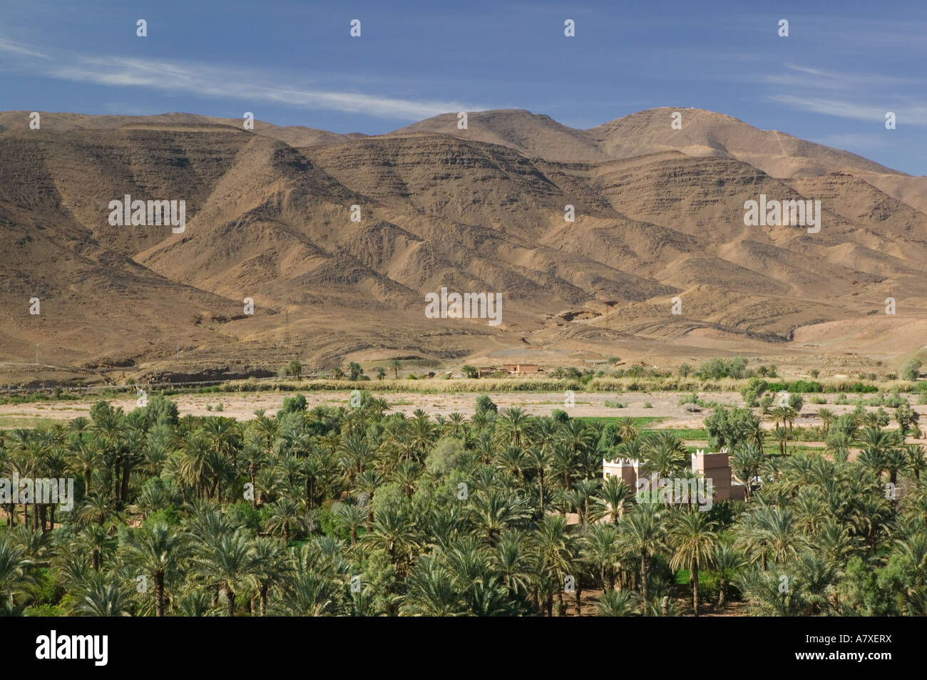 MOROCCO, Draa Valley, AGDZ: Draa River Valley Palm Grove Stock Photo ...