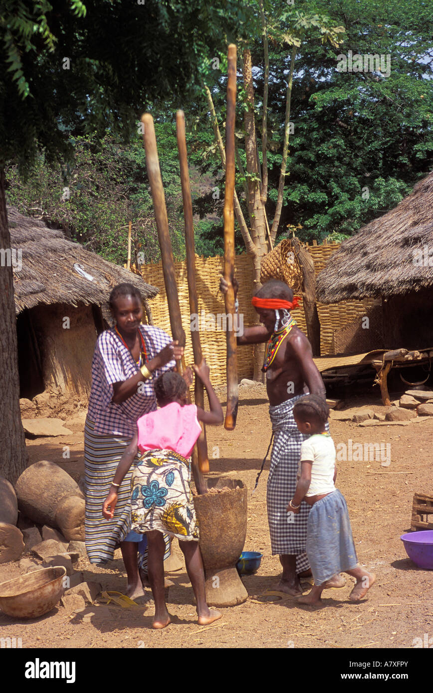 Women and girls pound grain in a wooden bowl in the Bedik tribe village ...