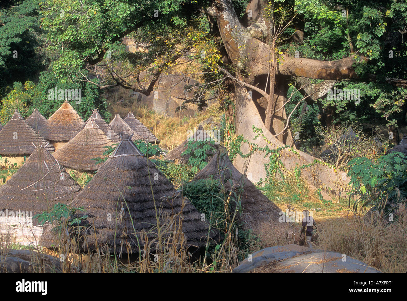 Bedik Tribe Stock Photos & Bedik Tribe Stock Images - Alamy