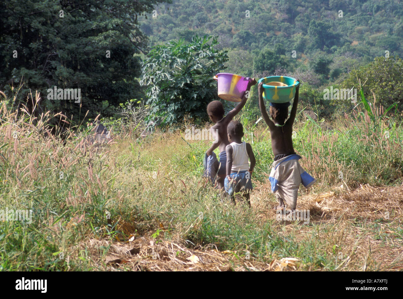Three young Bedik tribe boys carry colorful plastic buckets on their ...