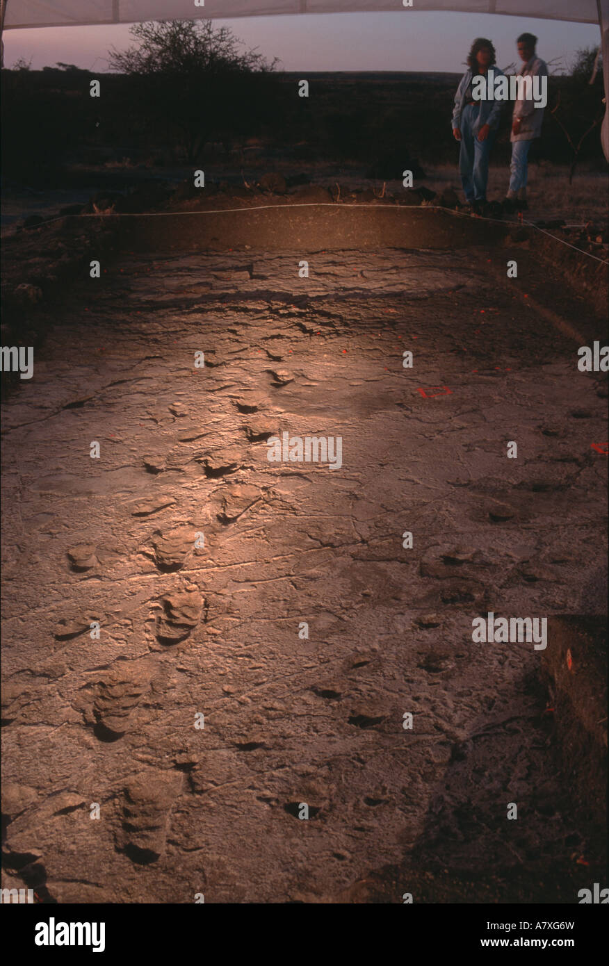 Laetoli footprints hi-res stock photography and images - Alamy