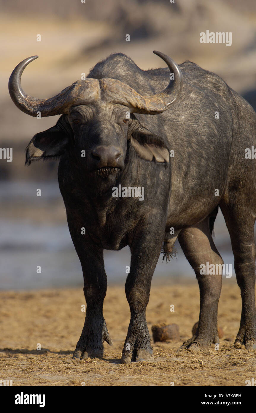 Makalolo plains hi-res stock photography and images - Alamy